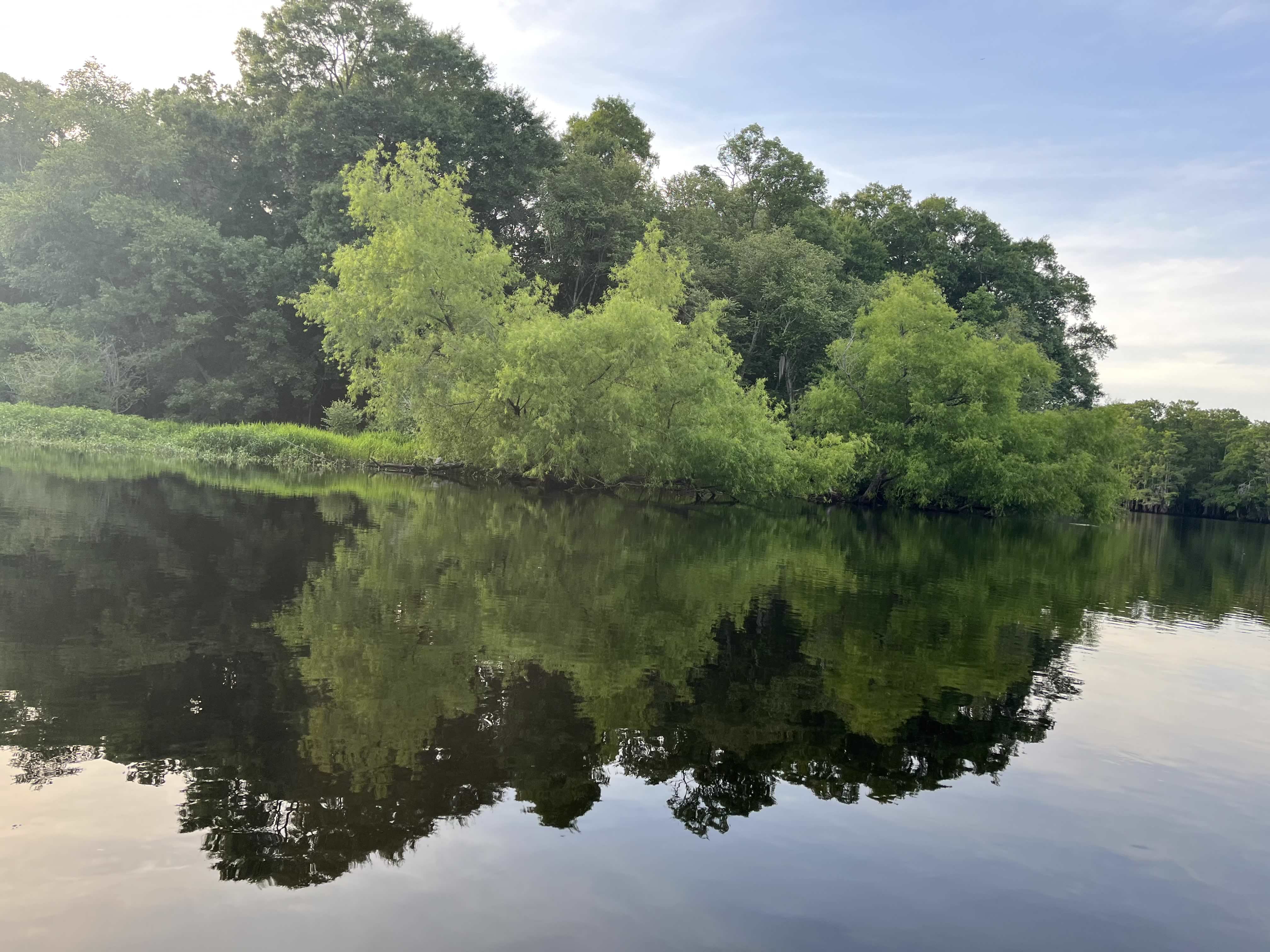 Beautiful Black Water – Jeffcoat's Black Water Campground on the Little Pee Dee River