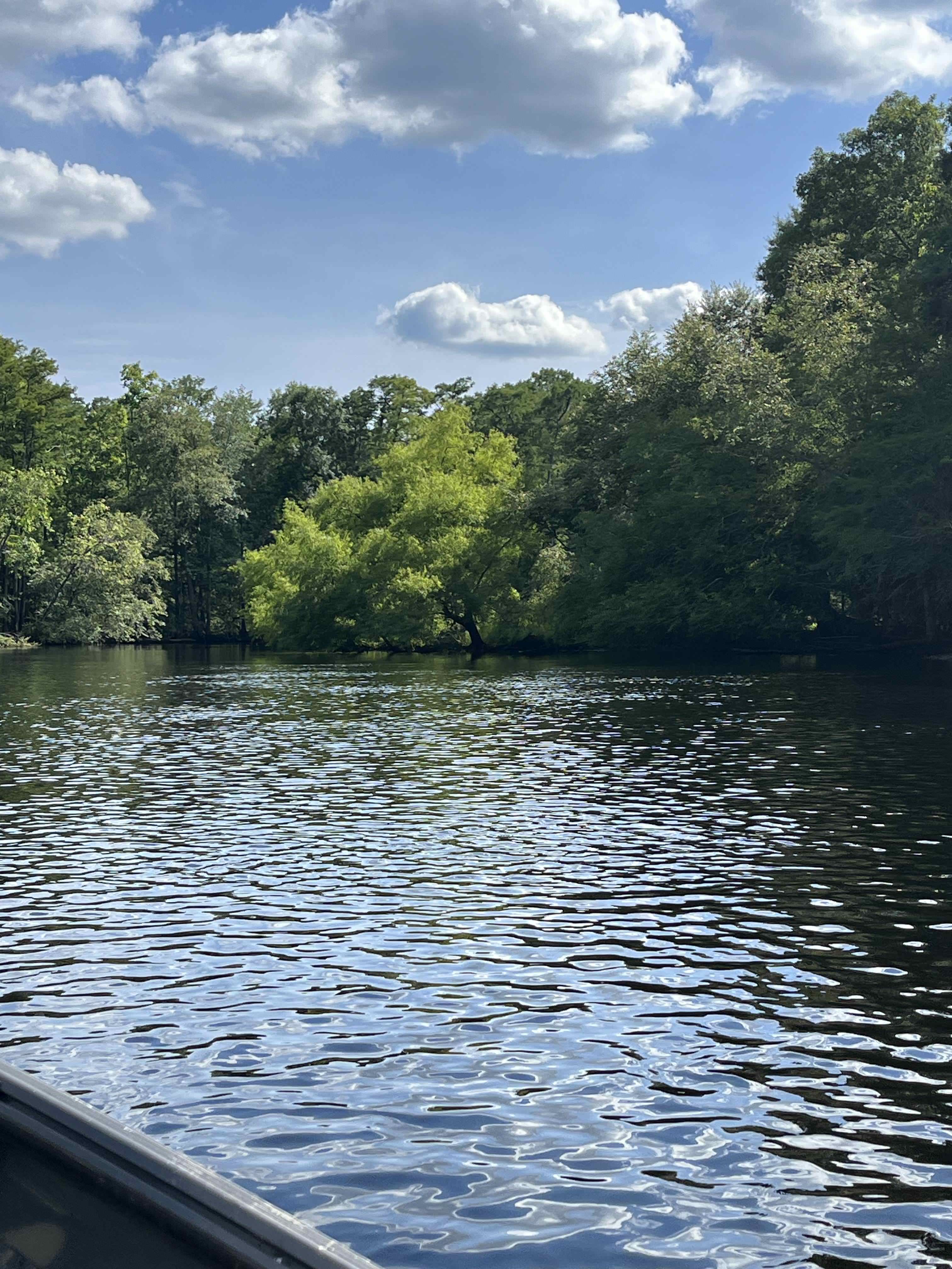Beautiful Black Water – Jeffcoat's Black Water Campground on the Little Pee Dee River